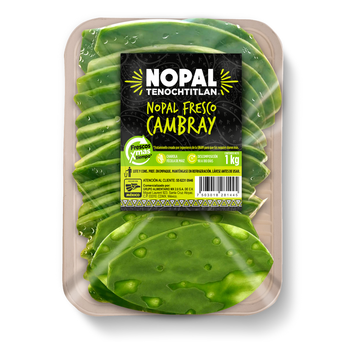 Charola de Nopal fresco 1kg g pack 4 piezas – Nopal Tenochtitlan